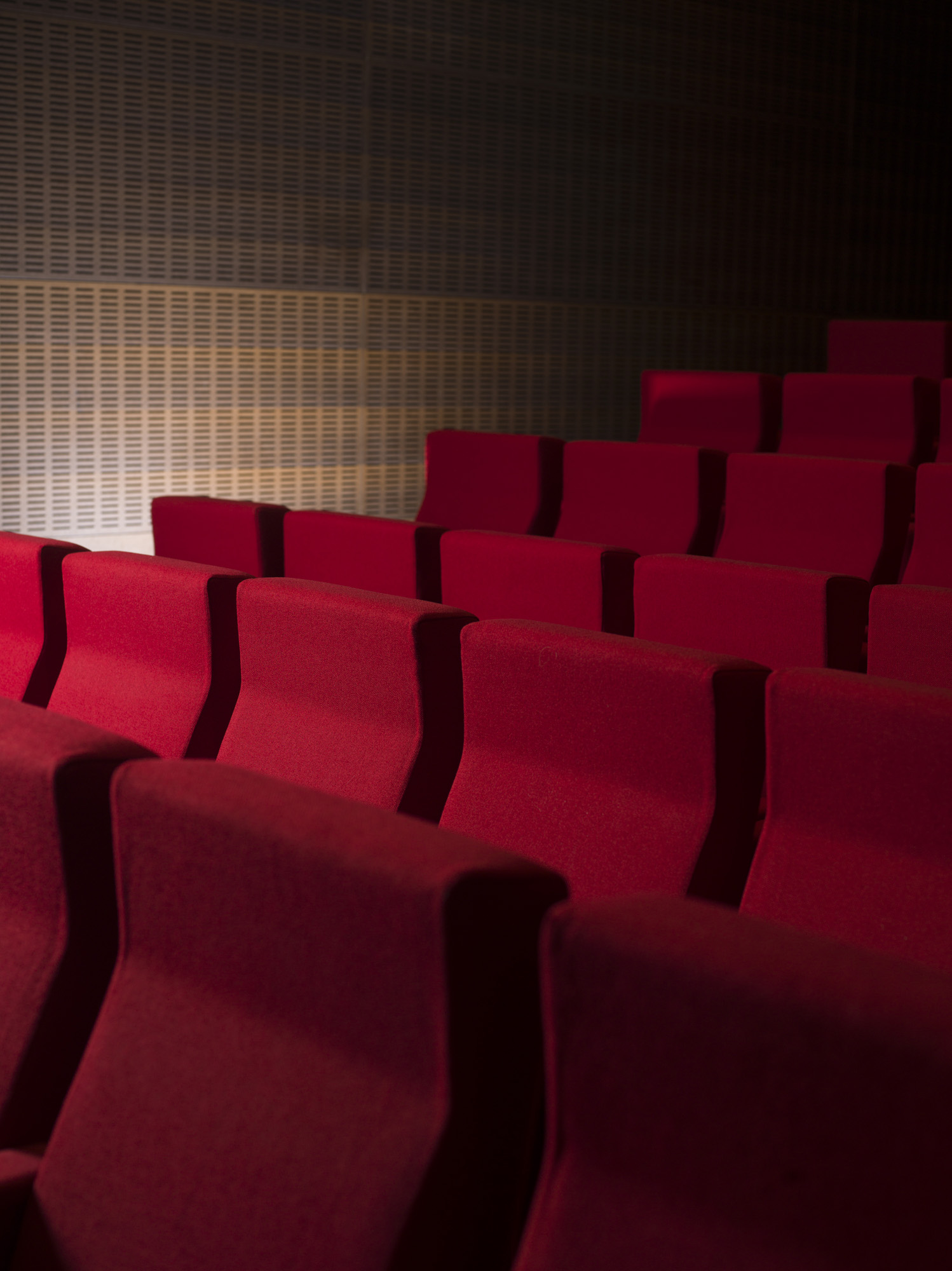 « Philippe Collin, dédicace » - Projections, lectures et interventions ...